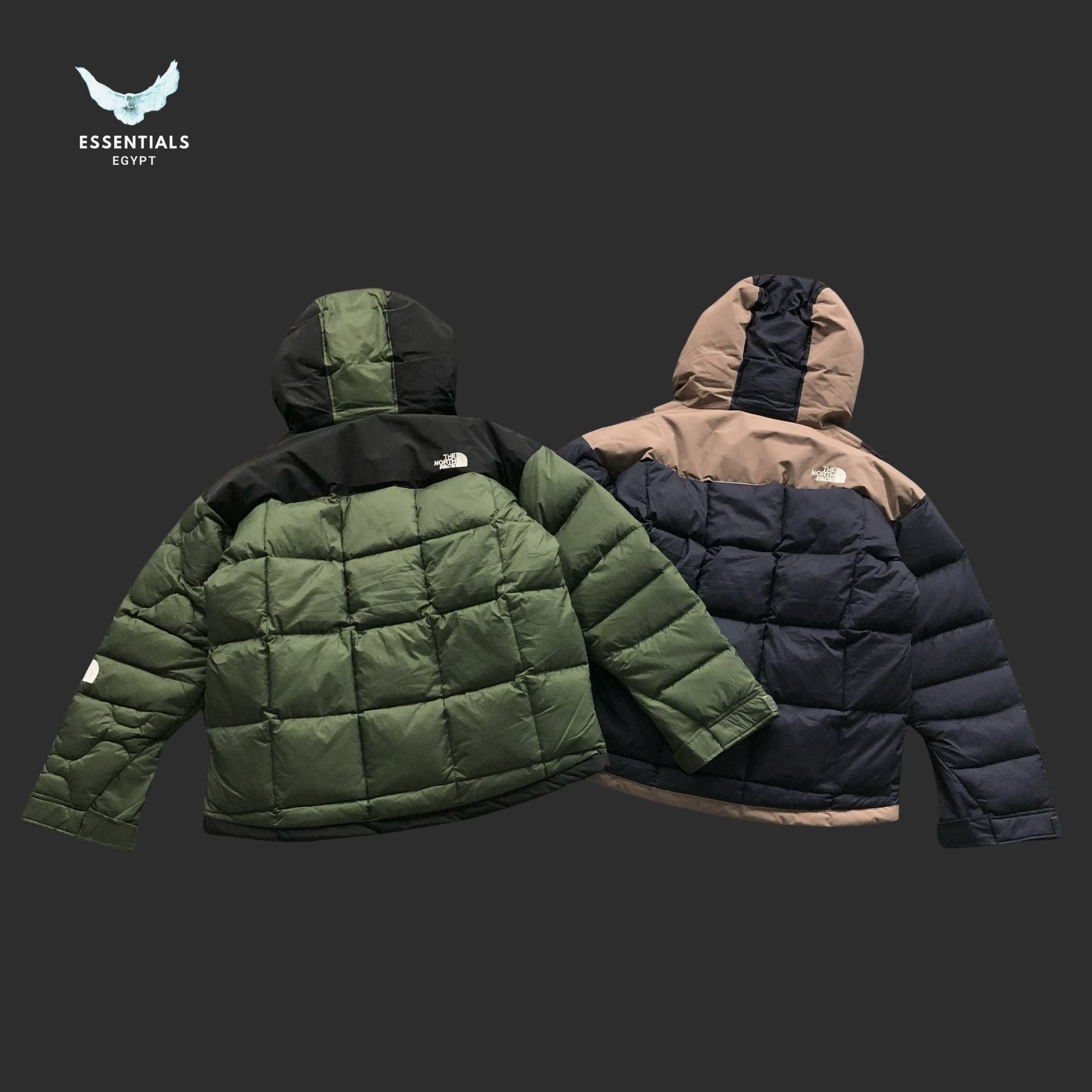 The North Face Colorblock Down Jacket Egypt | Essentials EG
